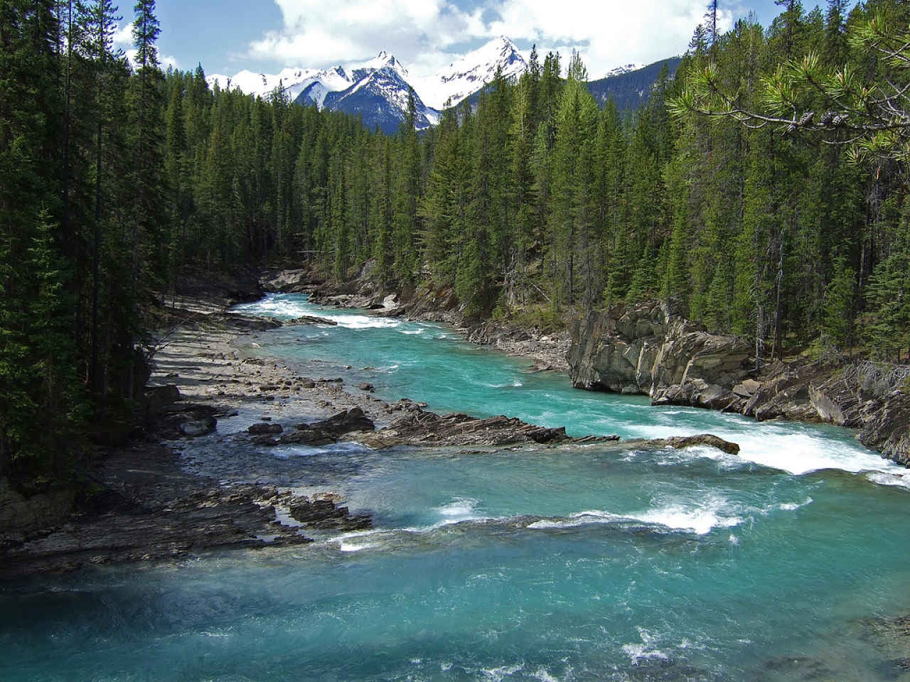 RiverApp | Check river levels and conditions in one App